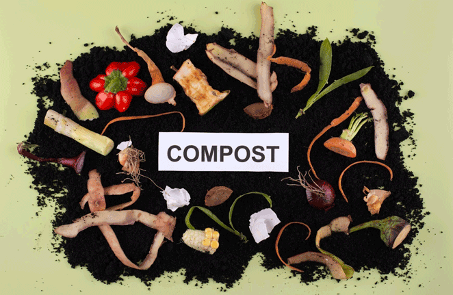 Sampah Organik: Pengertian, Jenis, dan Contoh - BAMS