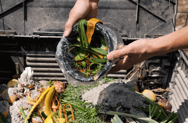 Sampah Organik: Pengertian, Jenis, dan Contoh - BAMS