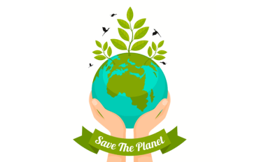 Reboisasi adalah: Arti, Fungsi, dan Manfaat - BAMS