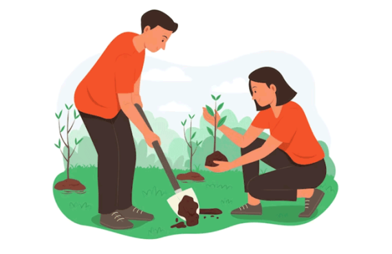 Reboisasi adalah: Arti, Fungsi, dan Manfaat - BAMS