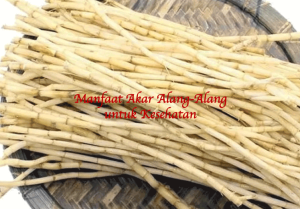 15 Manfaat Akar Alang-Alang untuk Kesehatan - BAMS