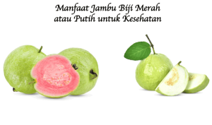 21 Manfaat Jambu Biji untuk Kesehatan - BAMS