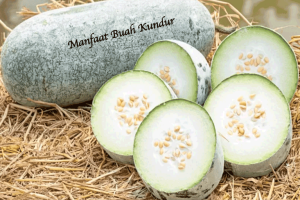 7 Manfaat Buah Kundur untuk Kesehatan - BAMS