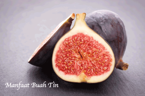 7 Manfaat Bunga Melati untuk Kesehatan - BAMS