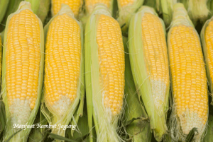 9 Manfaat Rambut Jagung untuk Kesehatan - BAMS